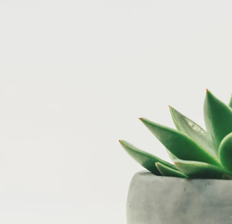 Singletons in JavaScript | Bret Cameron